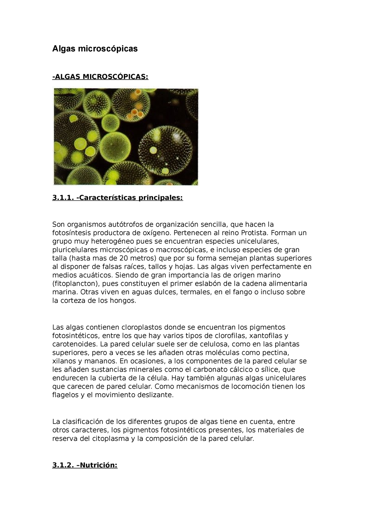 Algas Microscopicas Características Ciclo De Vida Reproducción