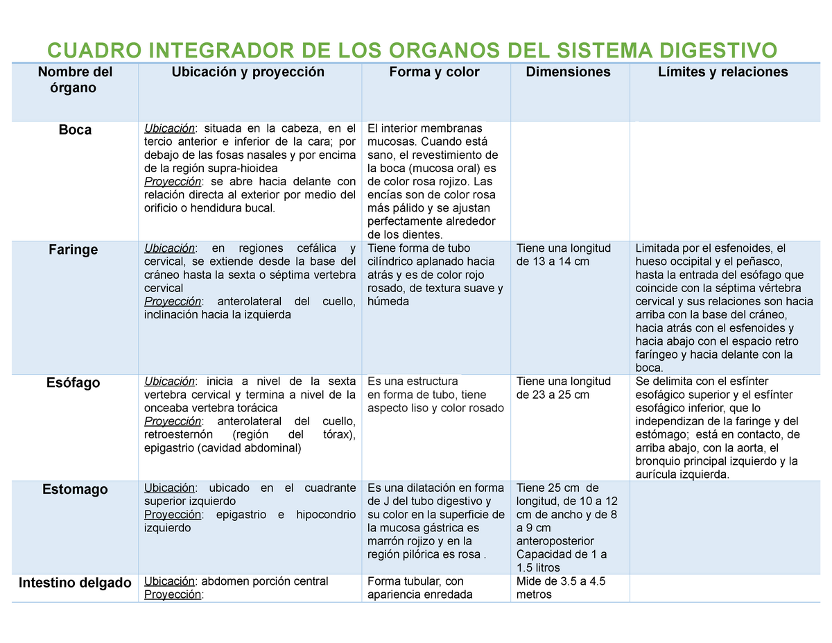 Cuadros Sinopticos Sobre La Digestion Cuadro Comparativo Images