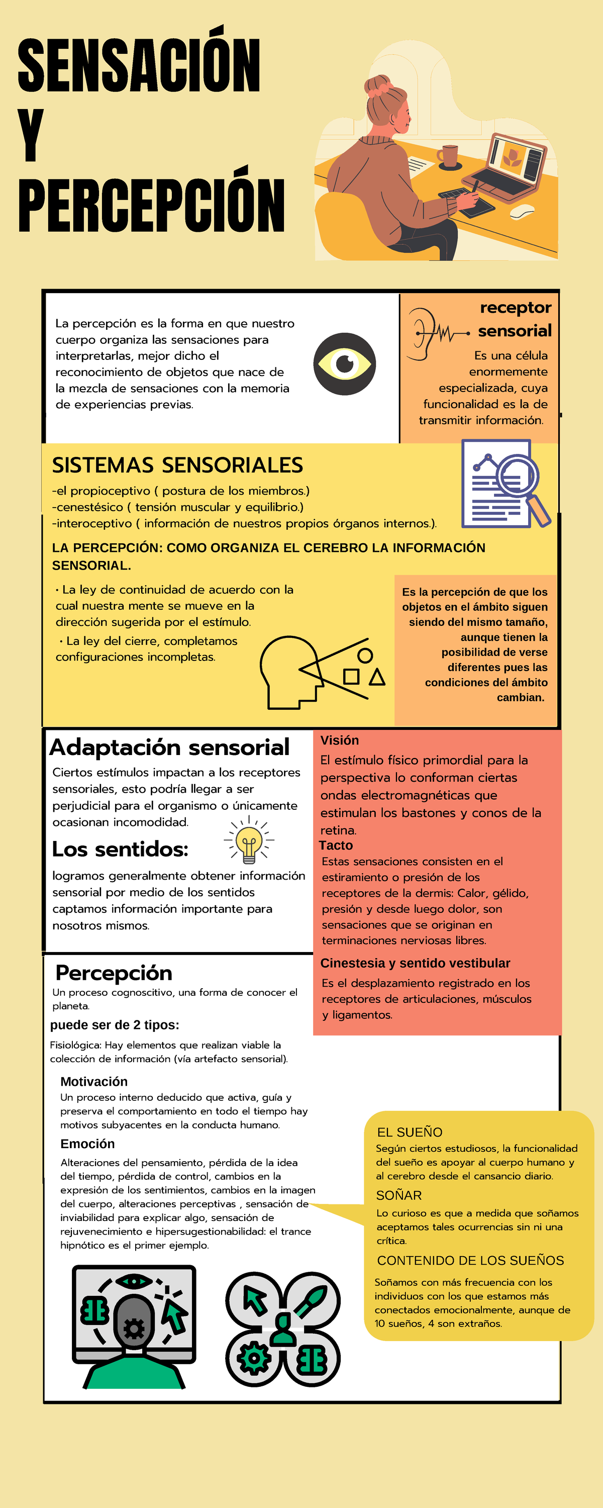 Infografía Sensacion Y Percepcion SensaciÓn Y PercepciÓn La