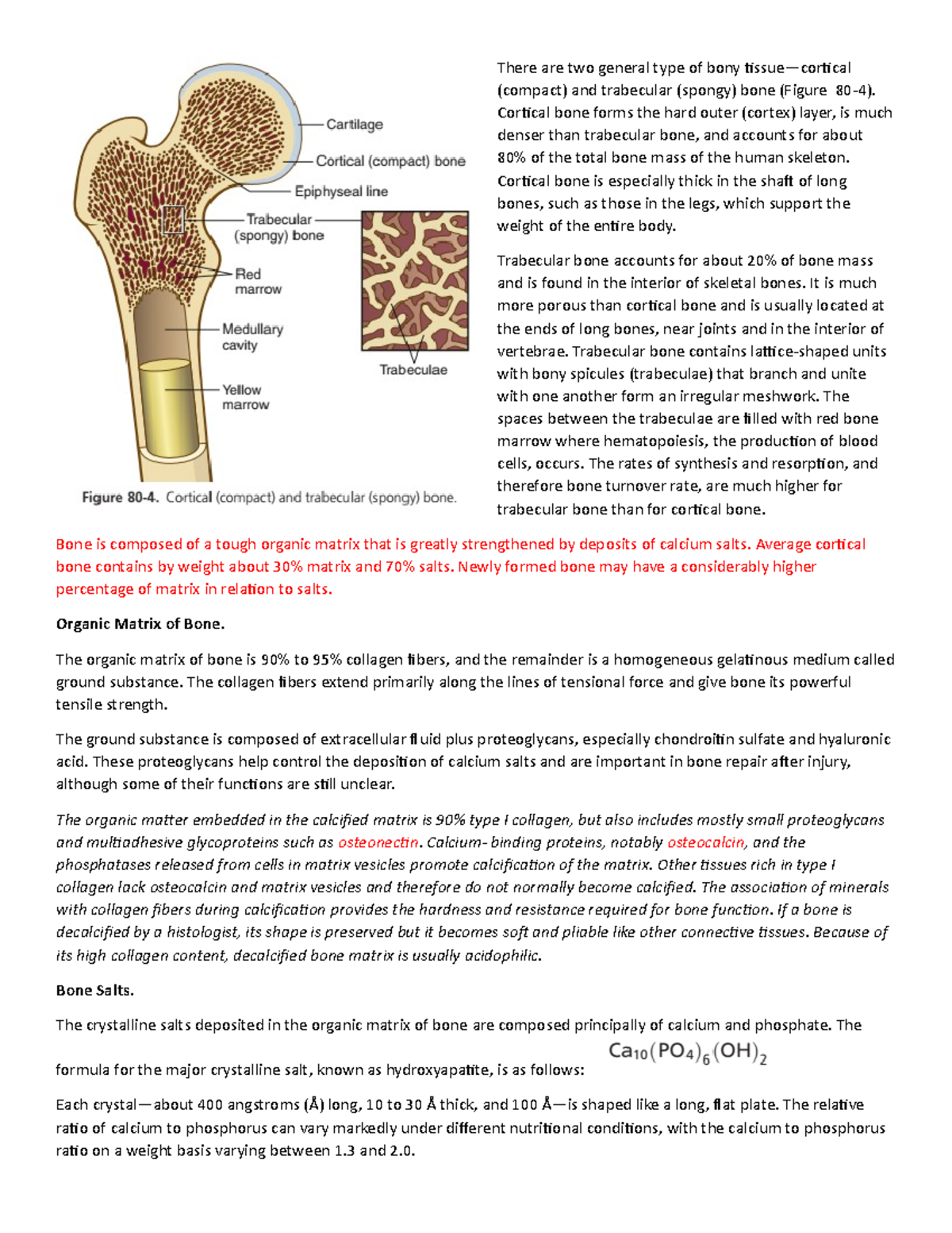 Bones Calcium And Phosphate There Are Two General Type Of Bony Tissue