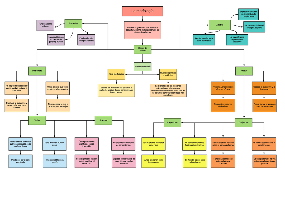 Mapa Conceptual De La Morfologia Y Sus Clases Brainlylat Images Porn