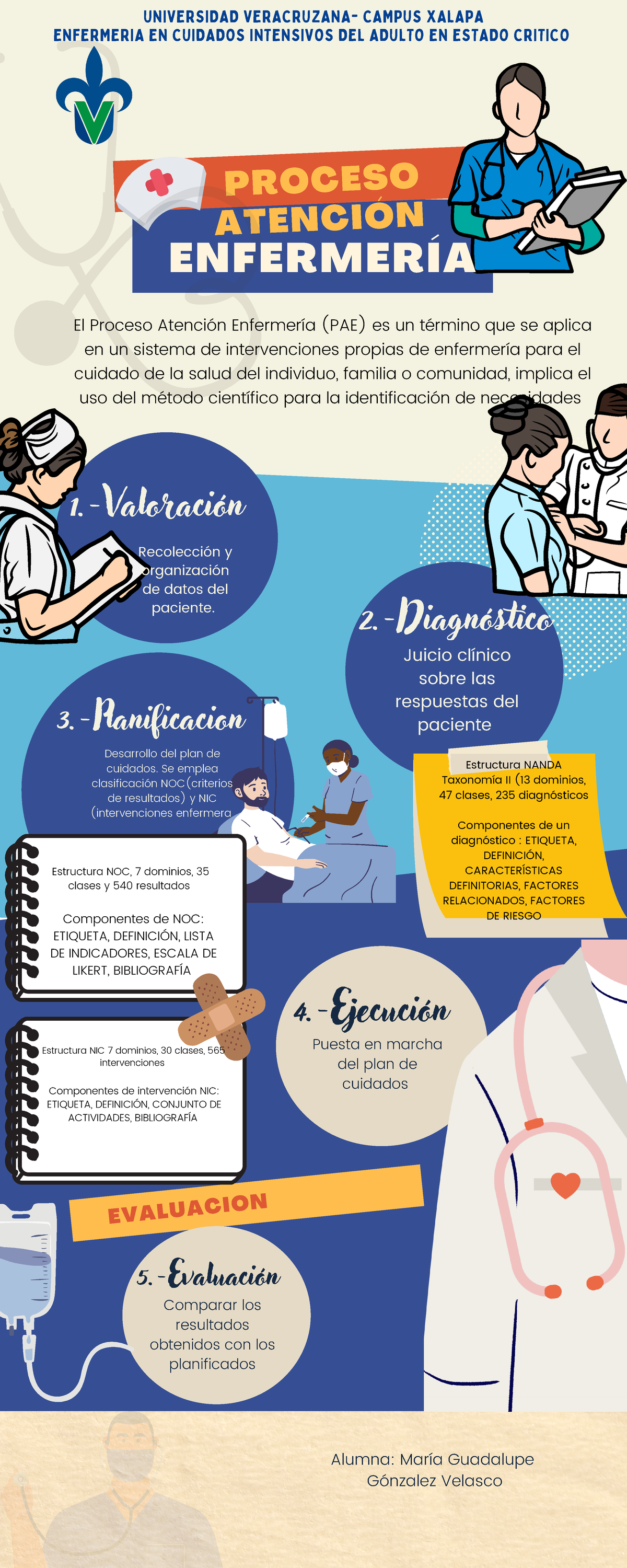 Infografia Proceso De Atencion De Enfermeria Evaluacion Proceso