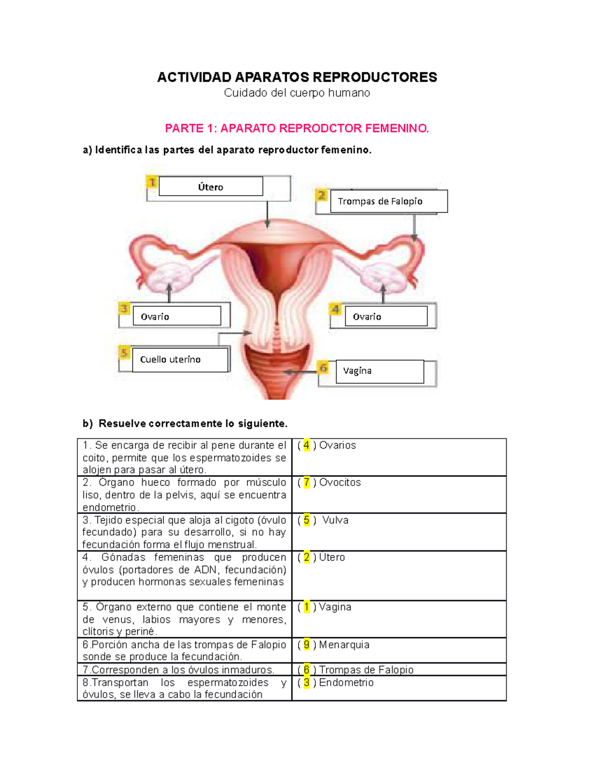 Ejercicio 15 Aparatos Reproductivos Actividad Aparatos Reproductores