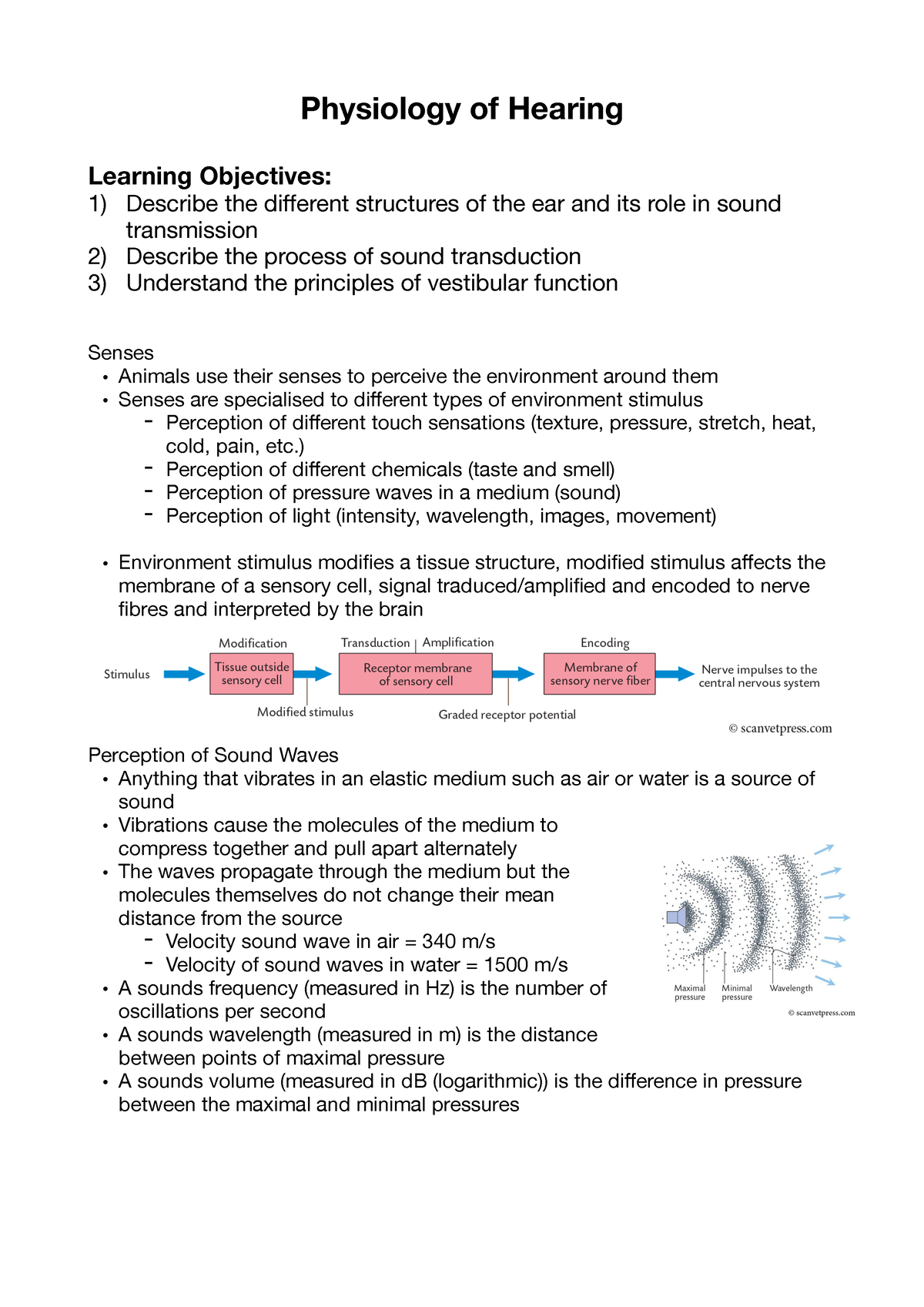 Physiology Of Hearing How Sound Is Created Physiology Of Hearing