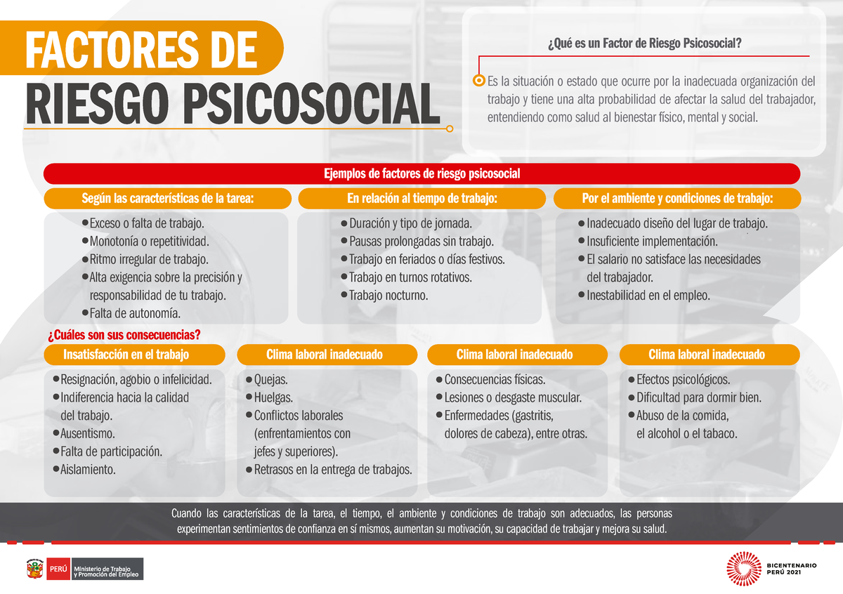 Infografía N° 05 Factores De Riesgo Psicosociales Factores De