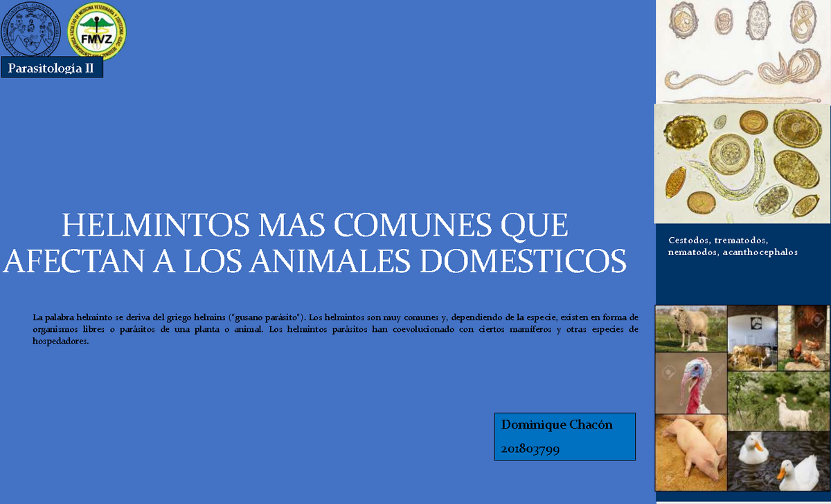 Helmintos Que Afectan Animales Domesticos Parasitología Y