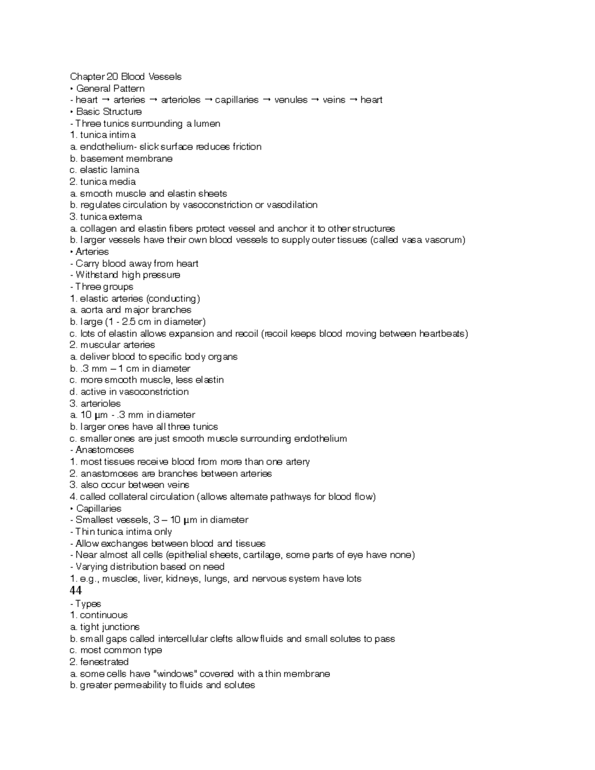 Anat 20 Blood Vessels Anatomy Class Notes Chapter 20 Blood Vessels