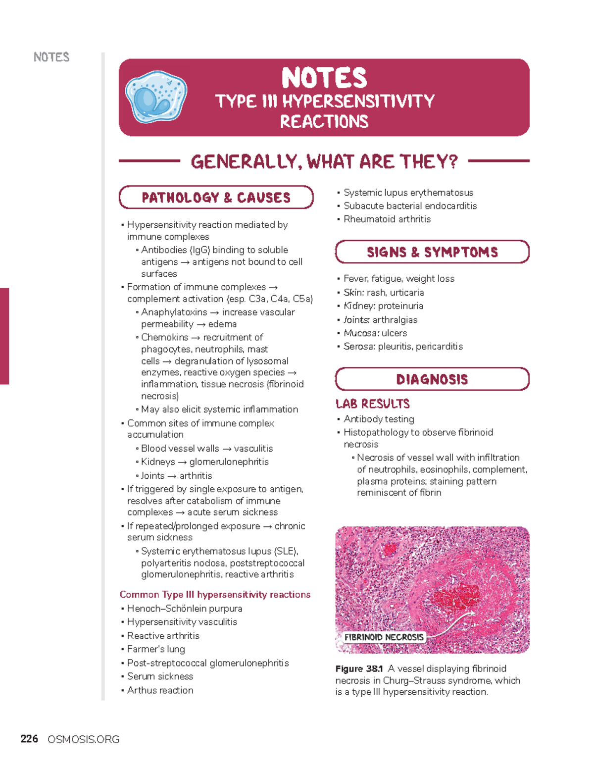 Type Iii Reactions Medicine Blood Diseases And Immunology