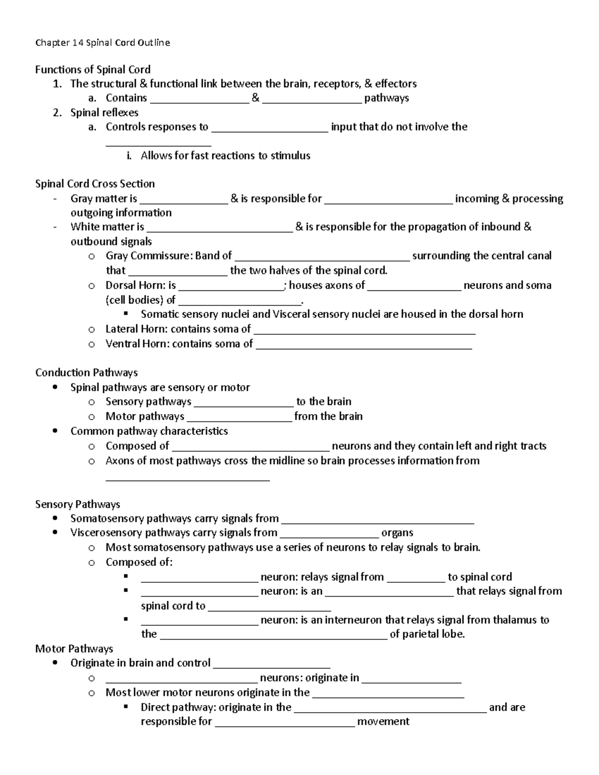 Chapter 14 Spinal Cord Outline Chapter 14 Spinal Cord Outline