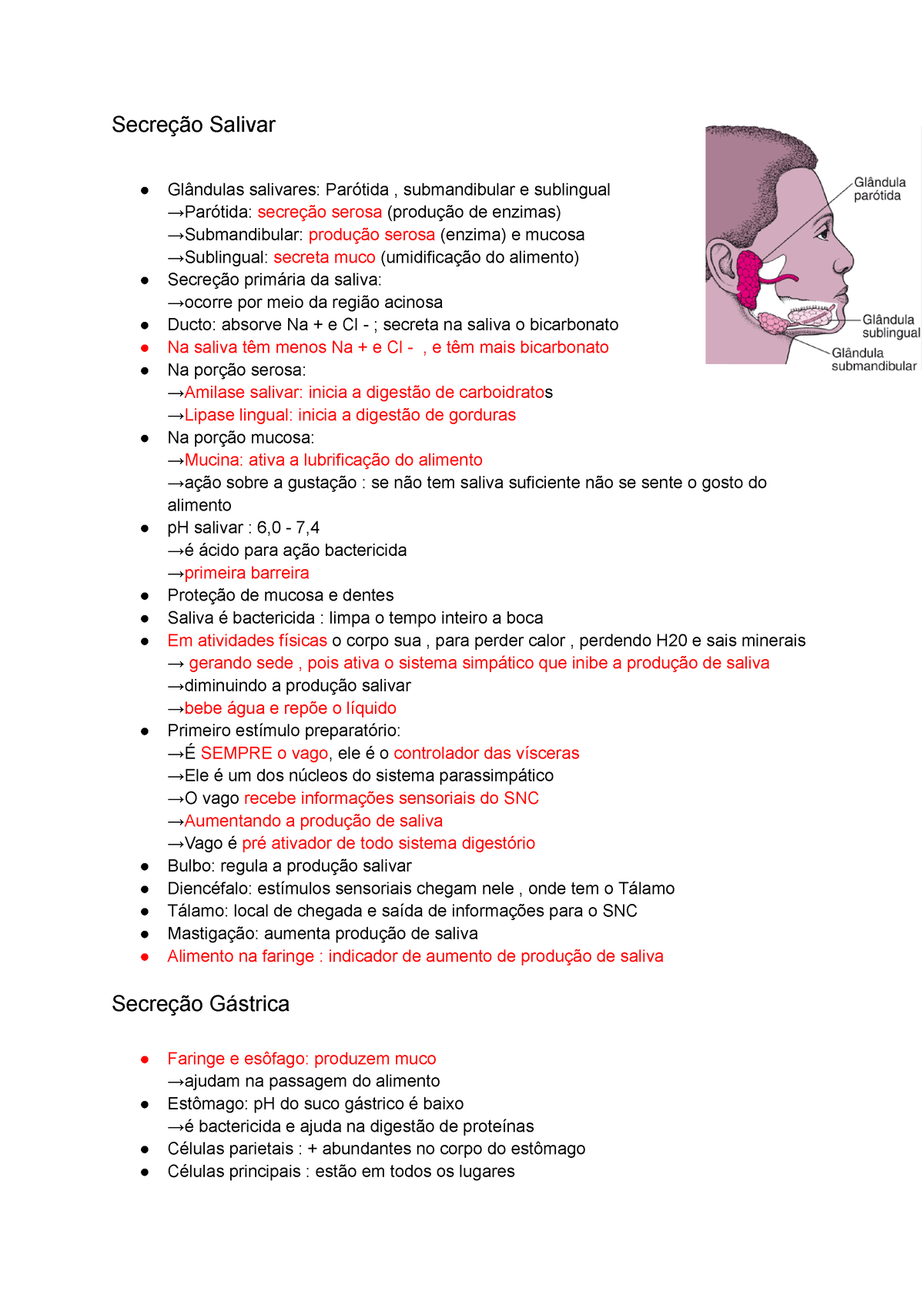 Secreções Sistema Digestório Secreção Salivar Glândulas Salivares