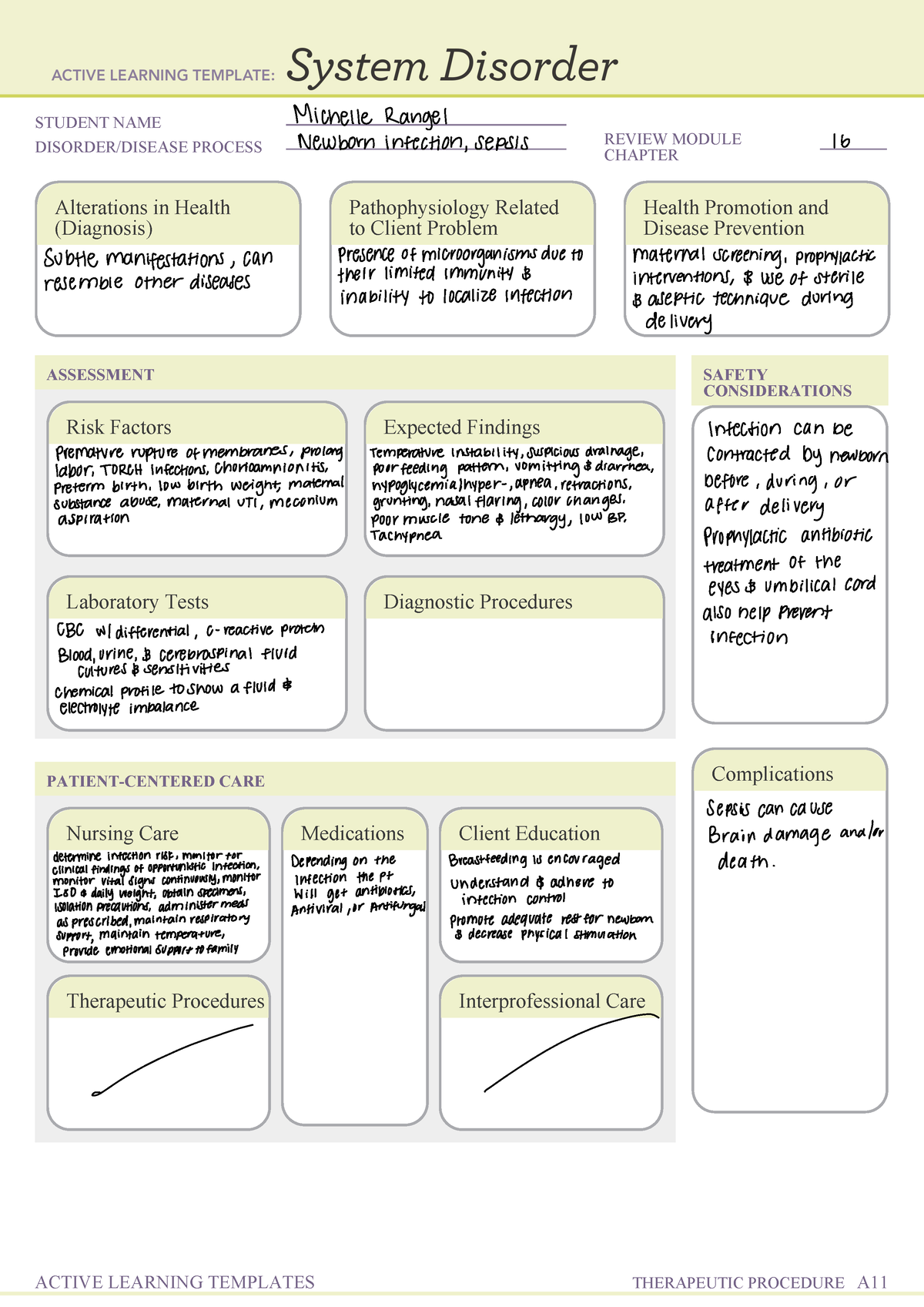 Newborn Safety Sepsis Active Learning Template Student Name Disorder