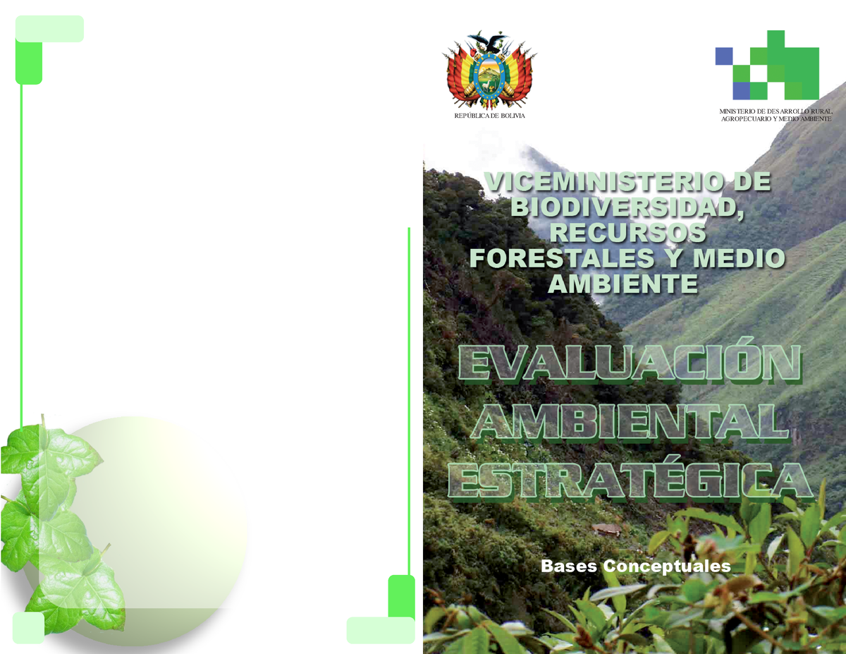 Viceministerio De Biodiversidad Recursos Forestales Y Medio Ambiente