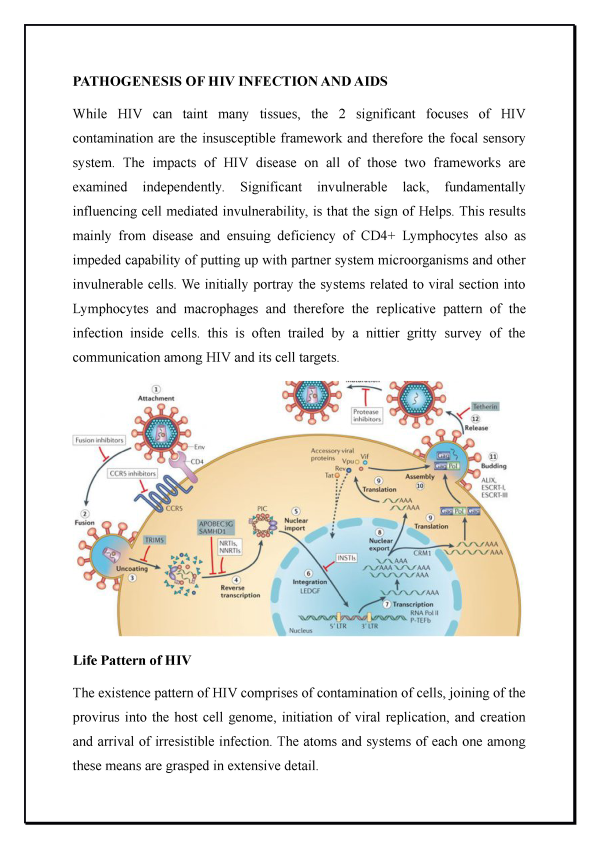 Pathogenesis Of Hiv Infection And Aids Pathogenesis Of Hiv Infection