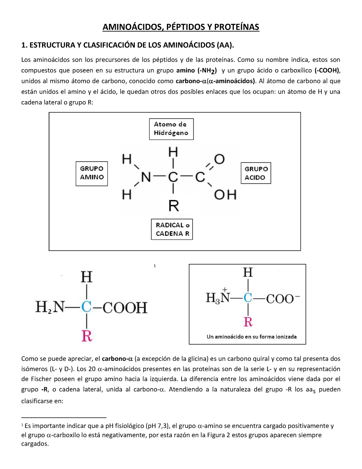 2 Presentacion De Aminoácidos Y Peptidos AminoÁcidos PÉptidos Y