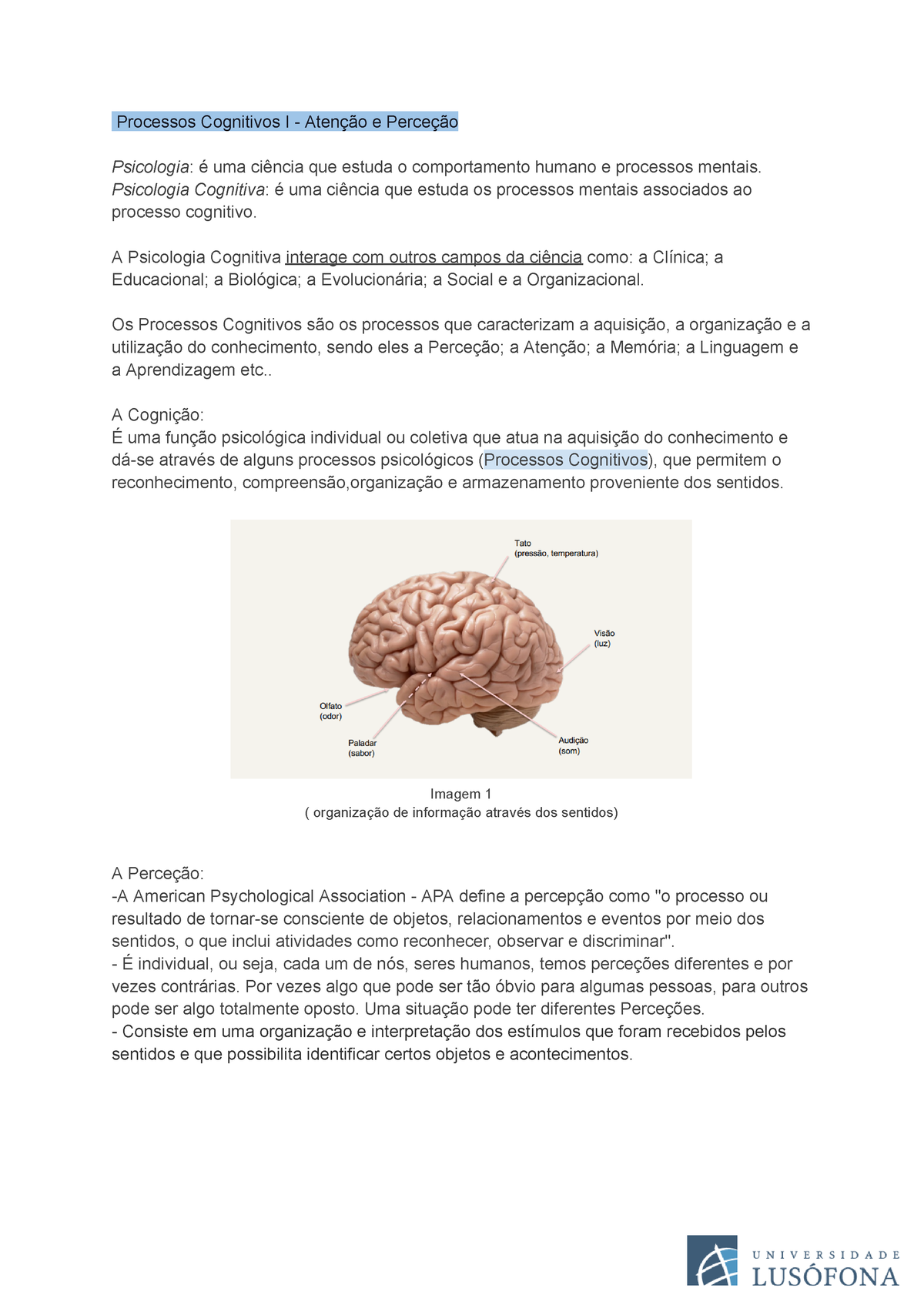 Processos Cognitivos I Atenção E Percepção Processos Cognitivos I