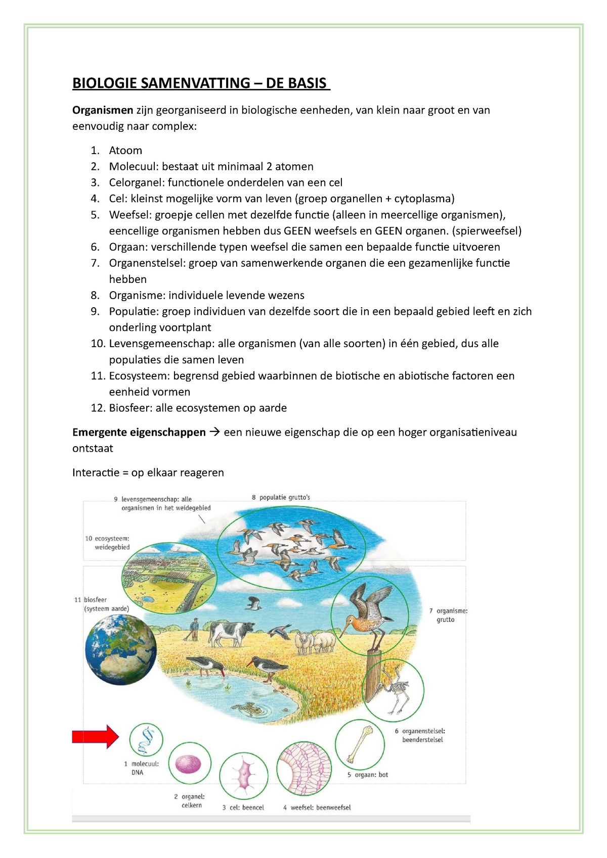 Biologie Samenvatting De Basis Biologie Samenvatting De Basis