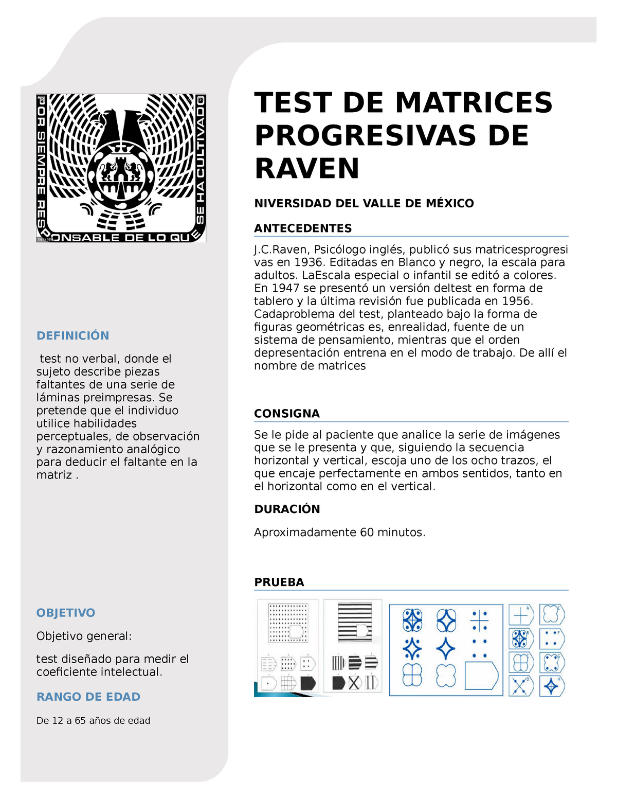 Test De Matrices Progresivas Escalas Coloreadas Raven