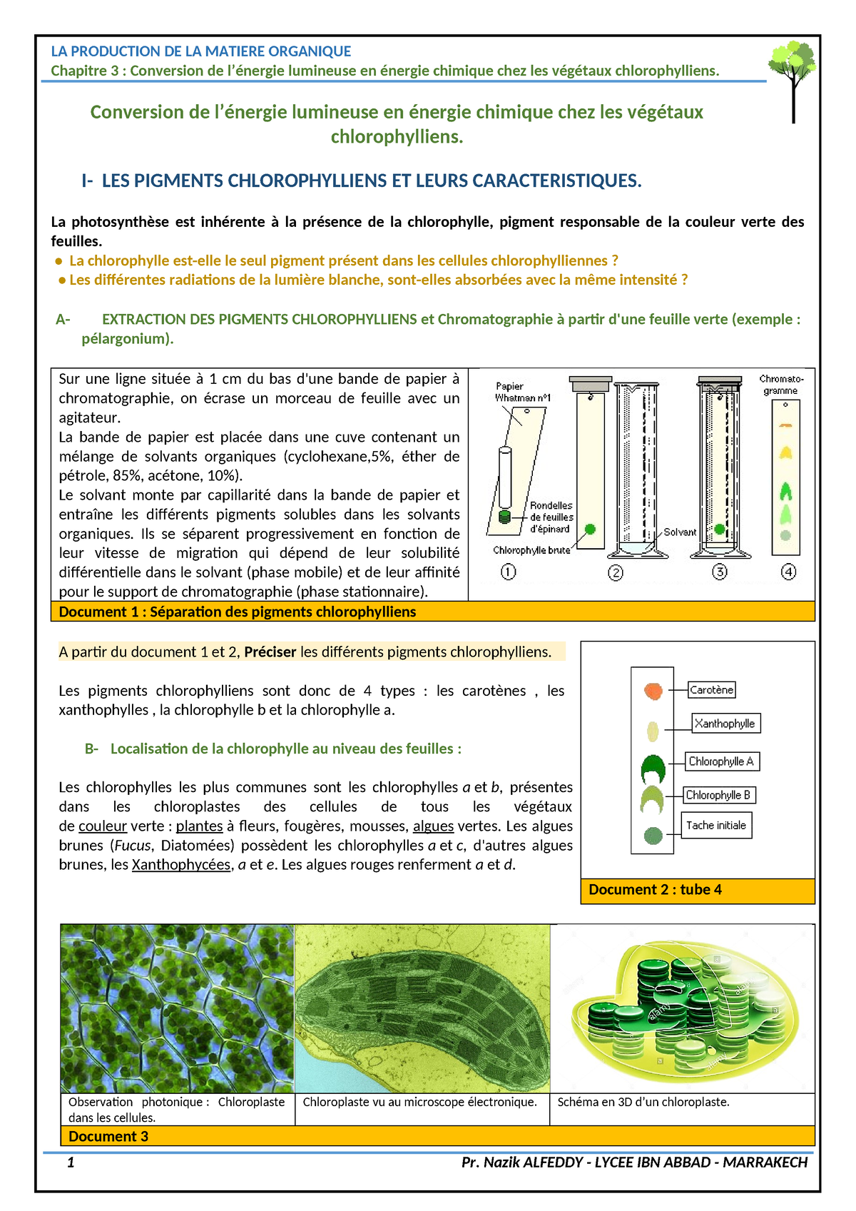 Conversion De L Energie Lumineuse En Energie Chimique Chez Les Vegetaux