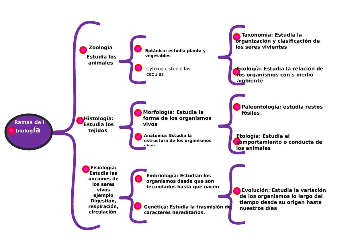 Cuadro Sinoptico 1 Jssjsjjsjs Evolución Estudia La Variación De