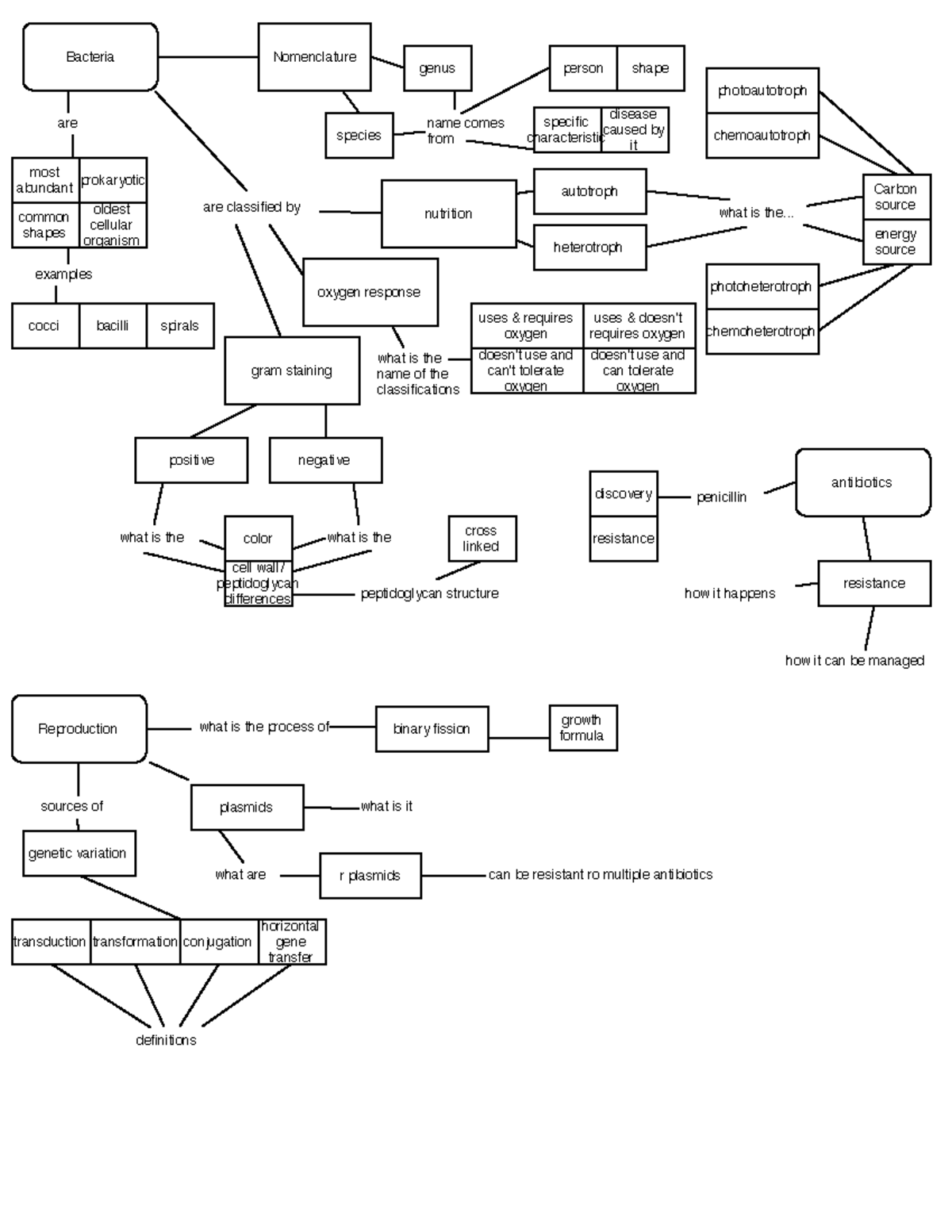 Bacteria Concept Map Bacteria Cocci Bacilli Spirals Nomenclature