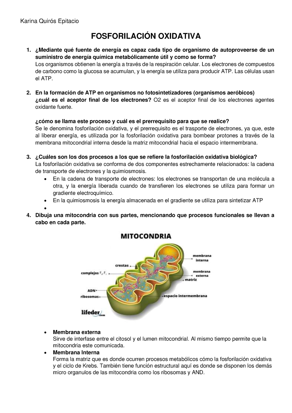 Cuestionario 3 Fosforilación Oxidativa Kqe FosforilaciÓn Oxidativa