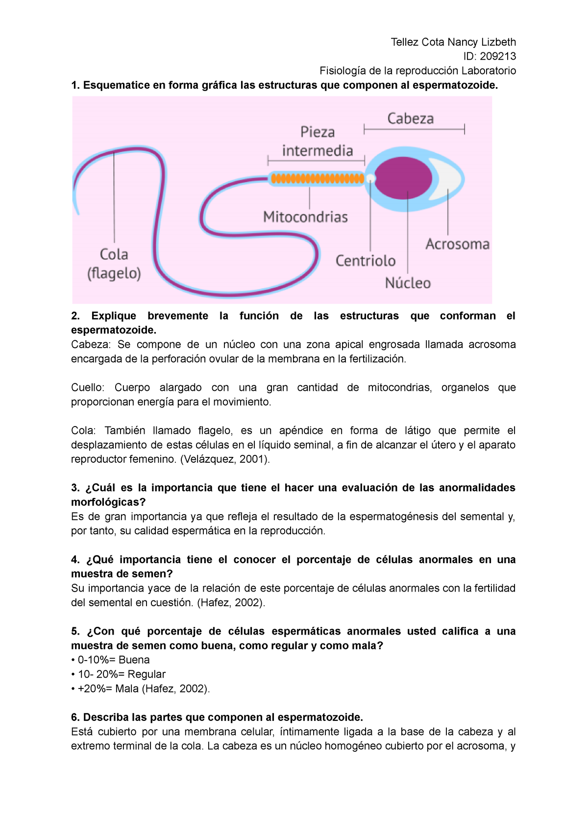 Cuestionario 9 “motilidad MorfologÍa Y FisiologÍa Del Gameto Sexual