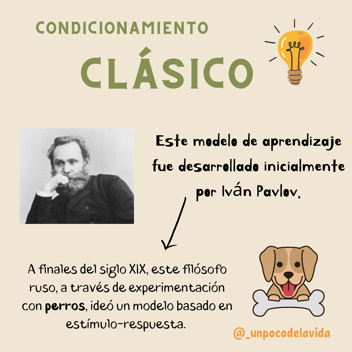 Condicionamiento Clásico Este Modelo De Aprendizaje Fue Desarrollado