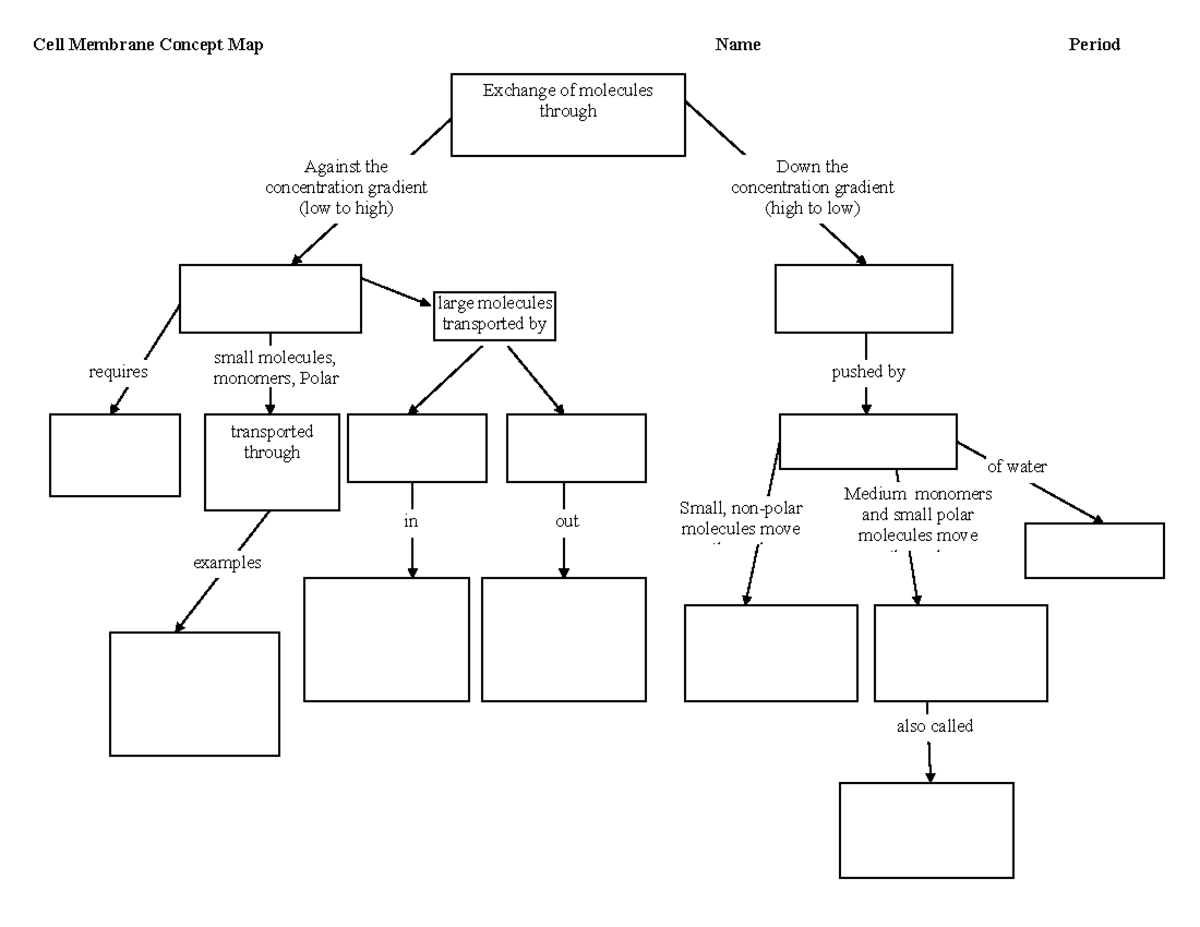 Memebrane Transport Concept Map 2h1eed7 Cell Membrane Concept