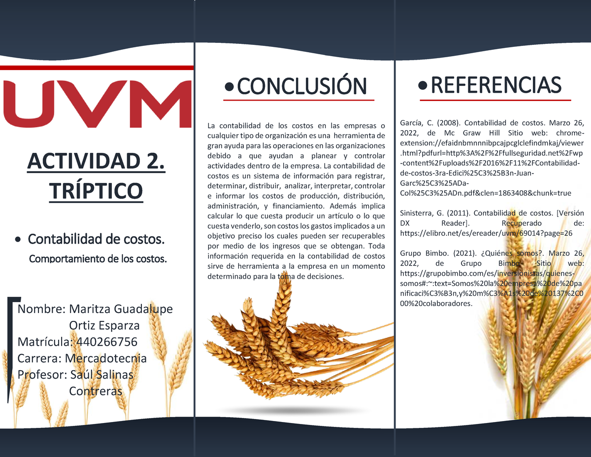 Cuadro Comparativo Sobre Contabilidad De Costos Uvm Studocu Porn Sex