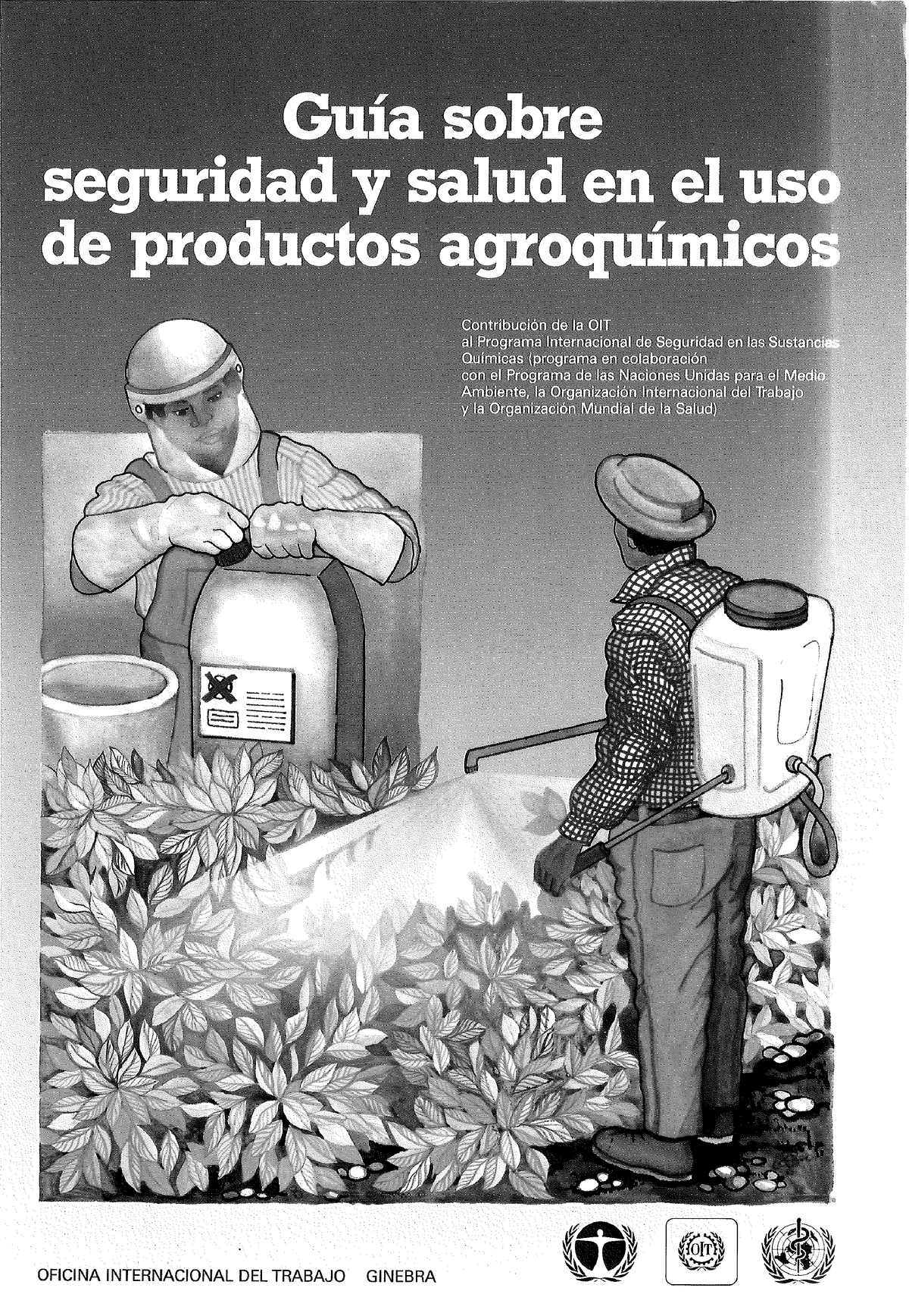 Wcms 235707 Guia Sobre Seguridad Y Salud En El Uso De Productos