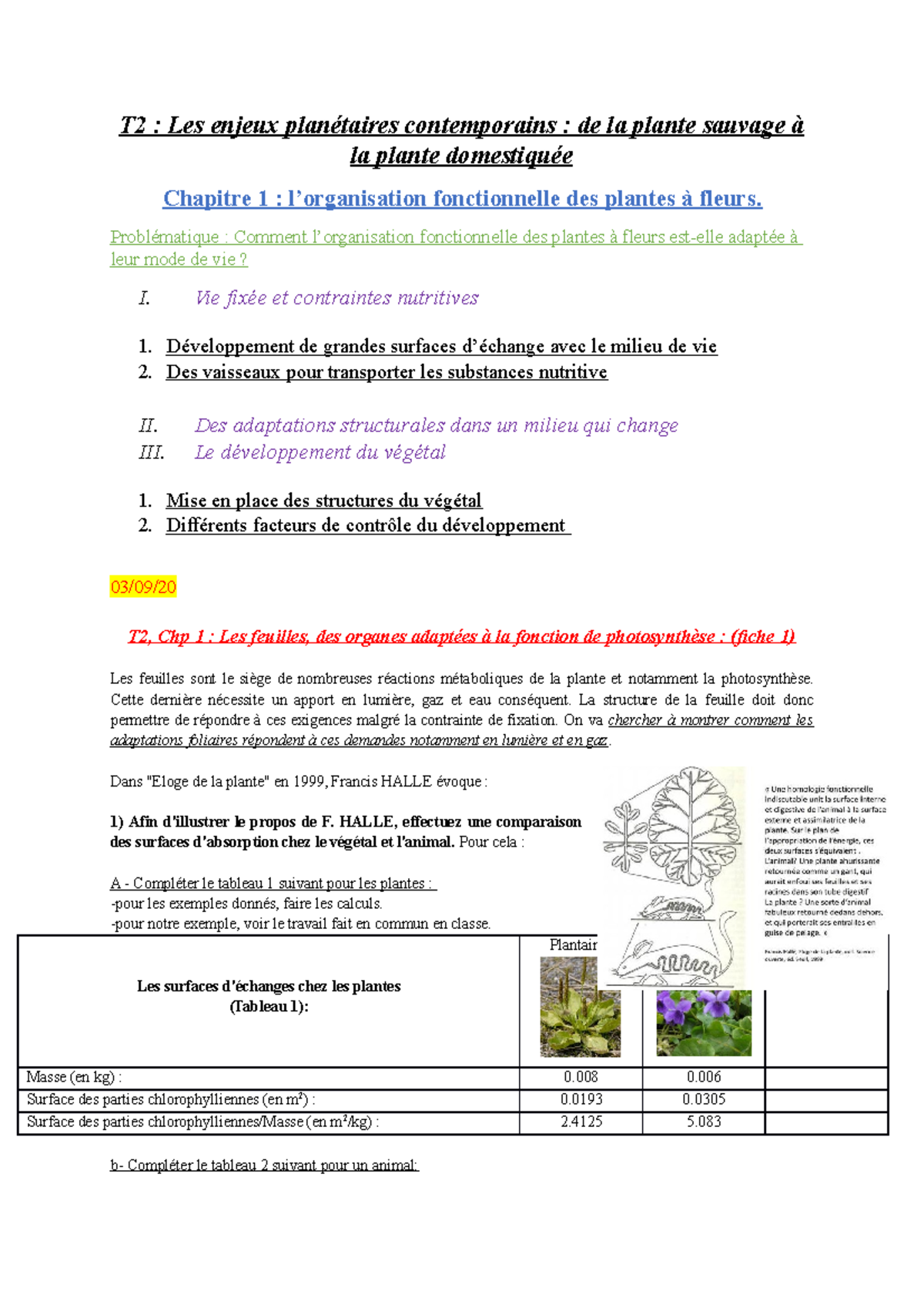 C1 Lorganisation Fonctionnelle Des Plantes à Fleurs Problématique