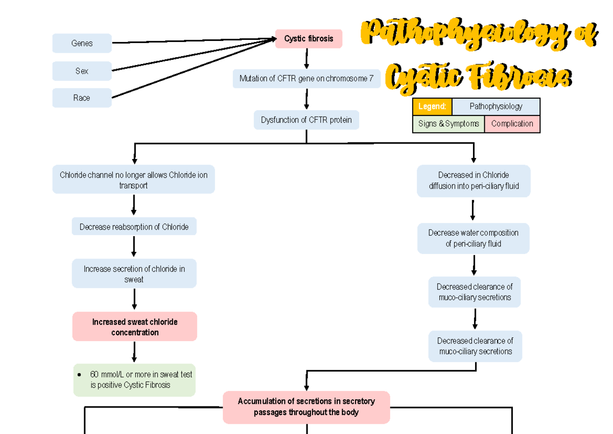 Cystic Fibrosis Pathophysiology Genes Cystic Fibrosis Sex Race