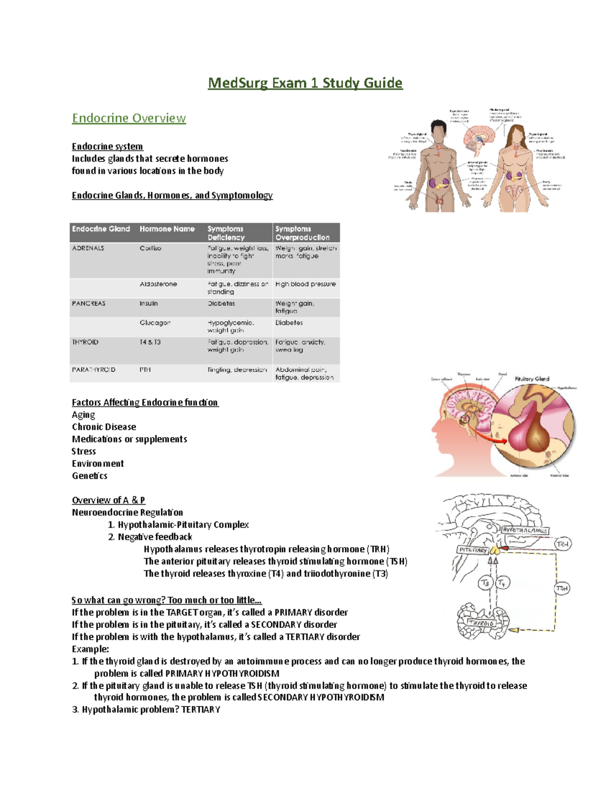 Med Surg Exam 1 Study Guide Medsurg Exam 1 Study Guide Endocrine