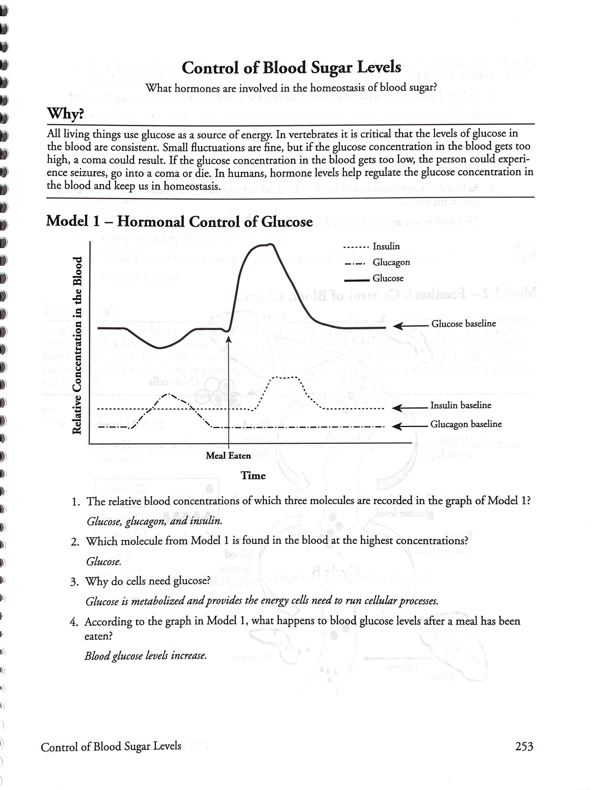 28 Key Control Of Blood Sugar Levels Bio 115 Studocu