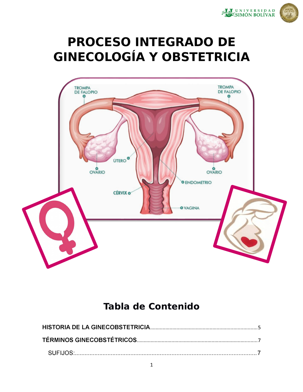 Técnicas Ginecobstetricia 1 2 1 Proceso Integrado De GinecologÍa