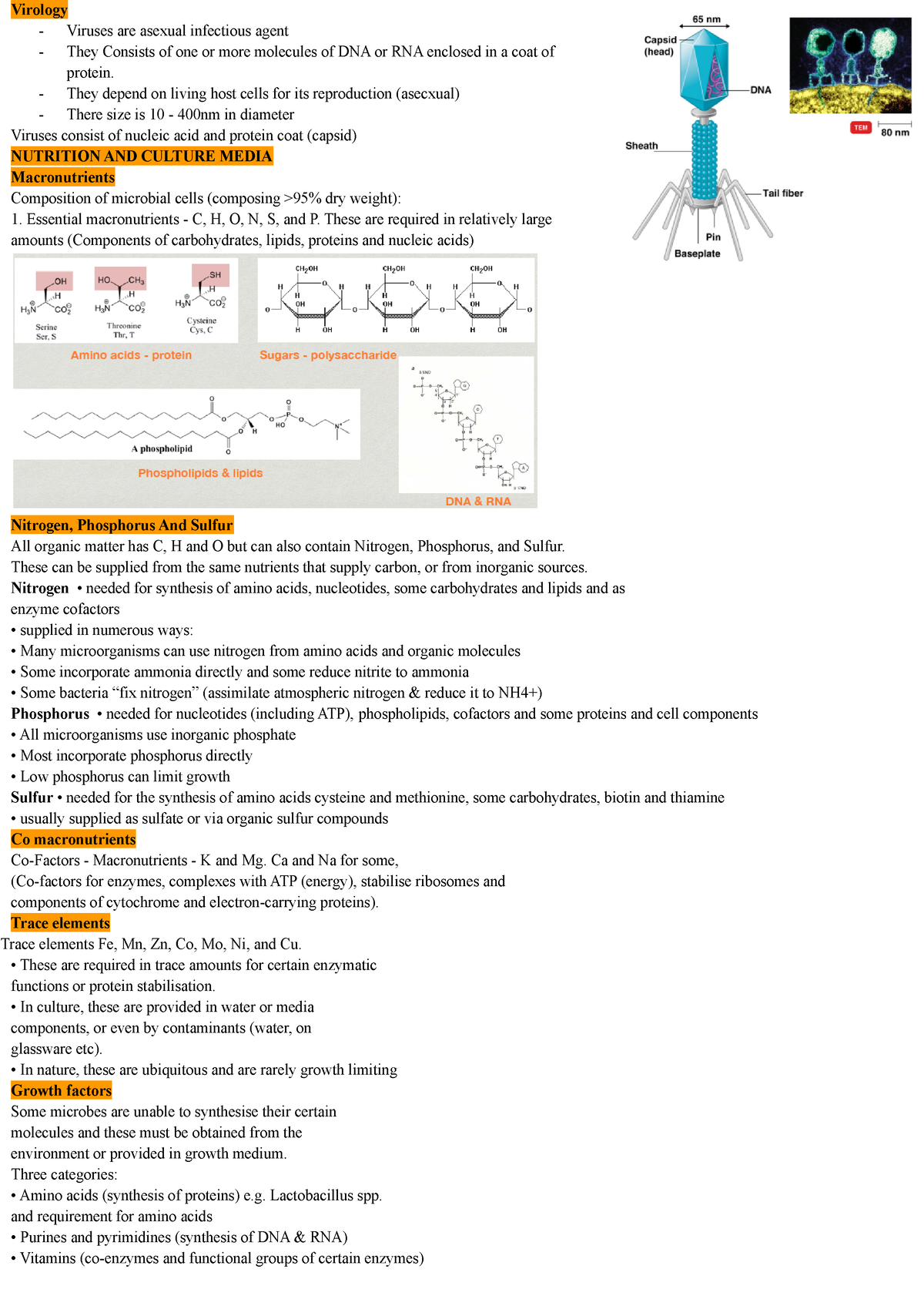 Microbiology Cheat Sheet