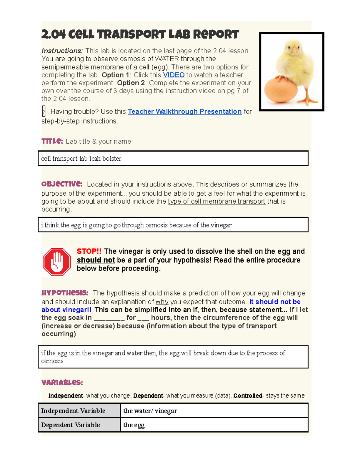 Copy Of 2 04 Lab Report Template V23 2 Cell Transport Lab Report