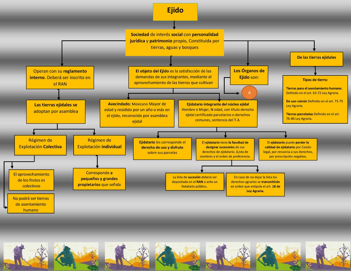 5 Tipos De Ejidos Otas