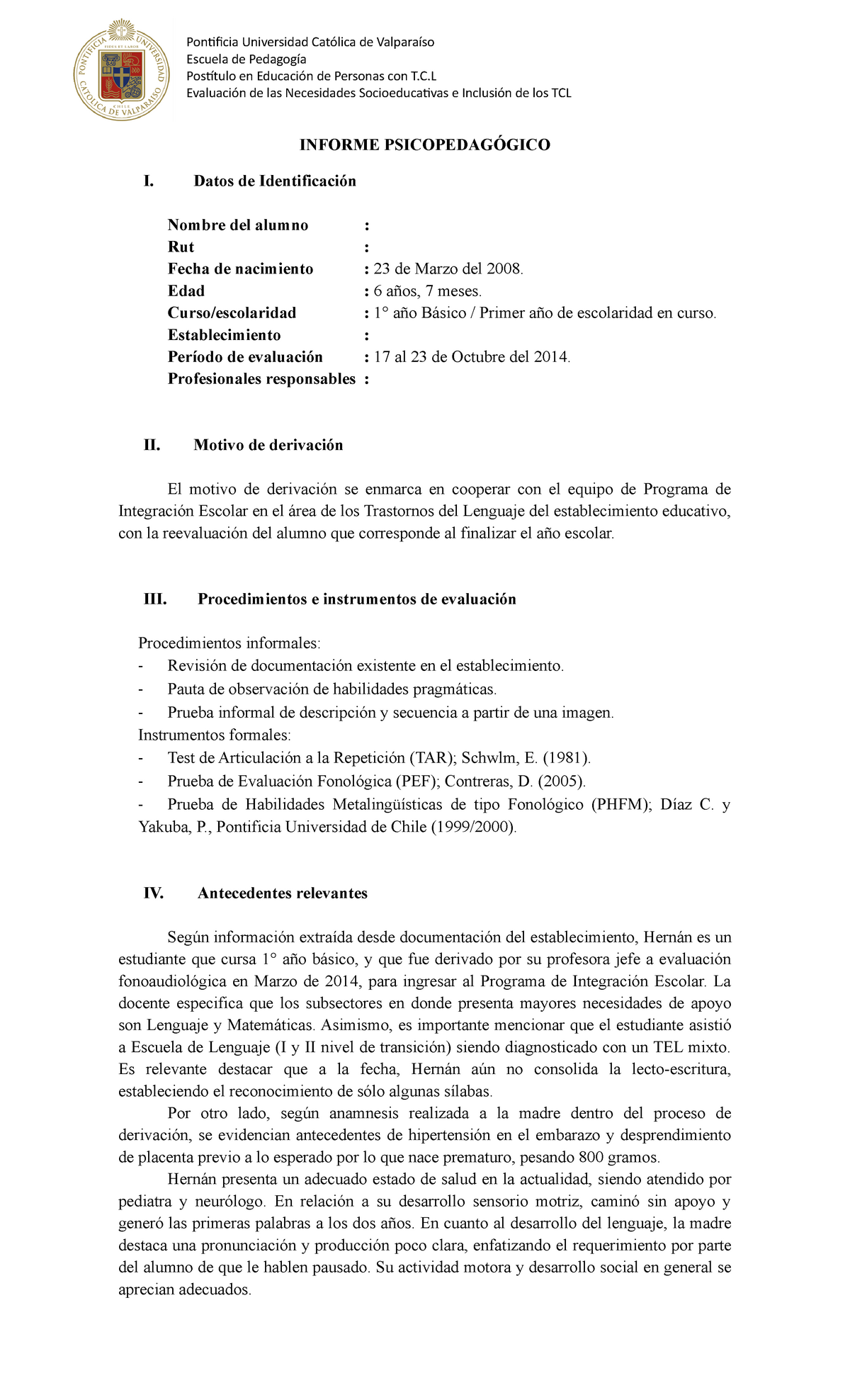 Total 68 Imagen Modelo De Informe De Lenguaje Abzlocalmx