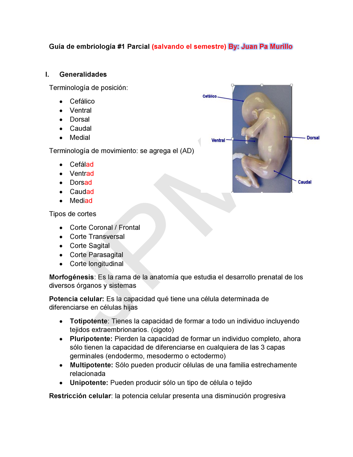 Guía De Embriología 1 Apuntes Todos Warning Tt Undefined