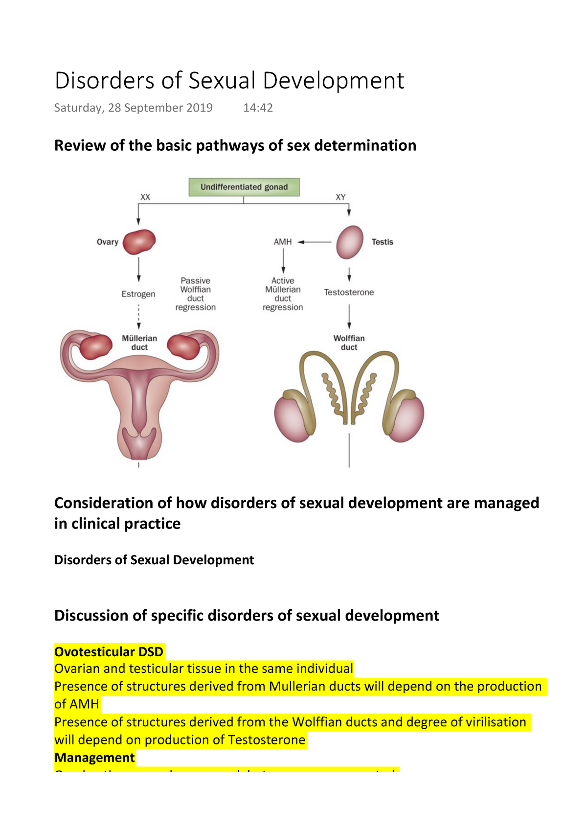 Disorders Of Sexual Development Studocu