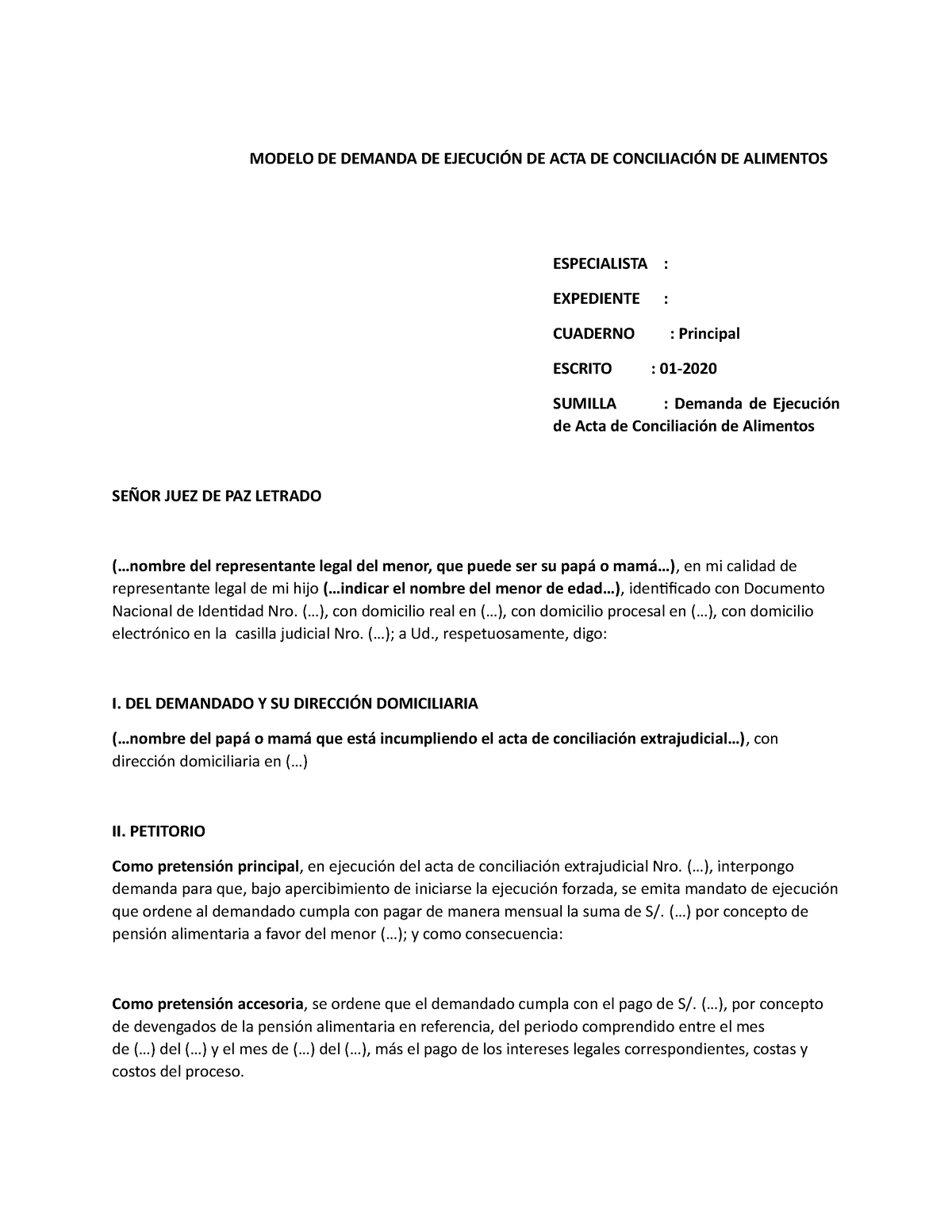 Modelo De Demanda De Ejecución De Acta De Conciliación De Alimentos