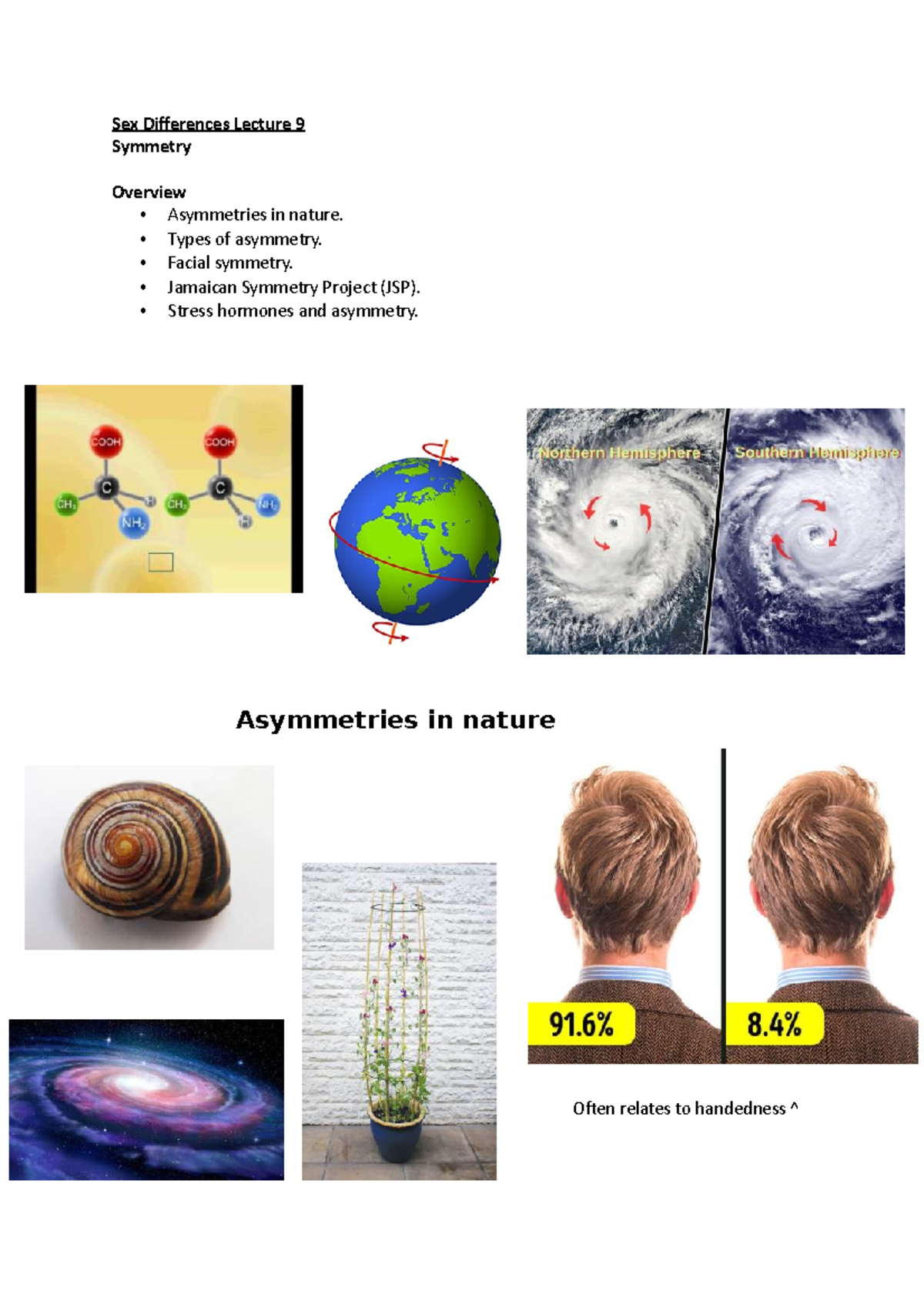 Sex Differences Lecture 9 Types Of Asymmetry Facial Symmetry