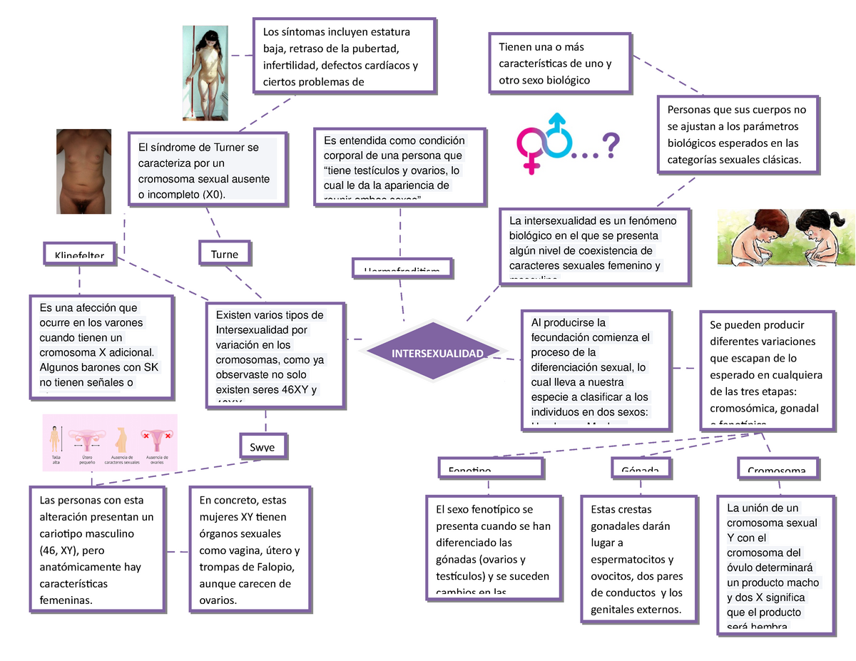 Intersexualidad Personas Que Sus Cuerpos No Se Ajustan A Los