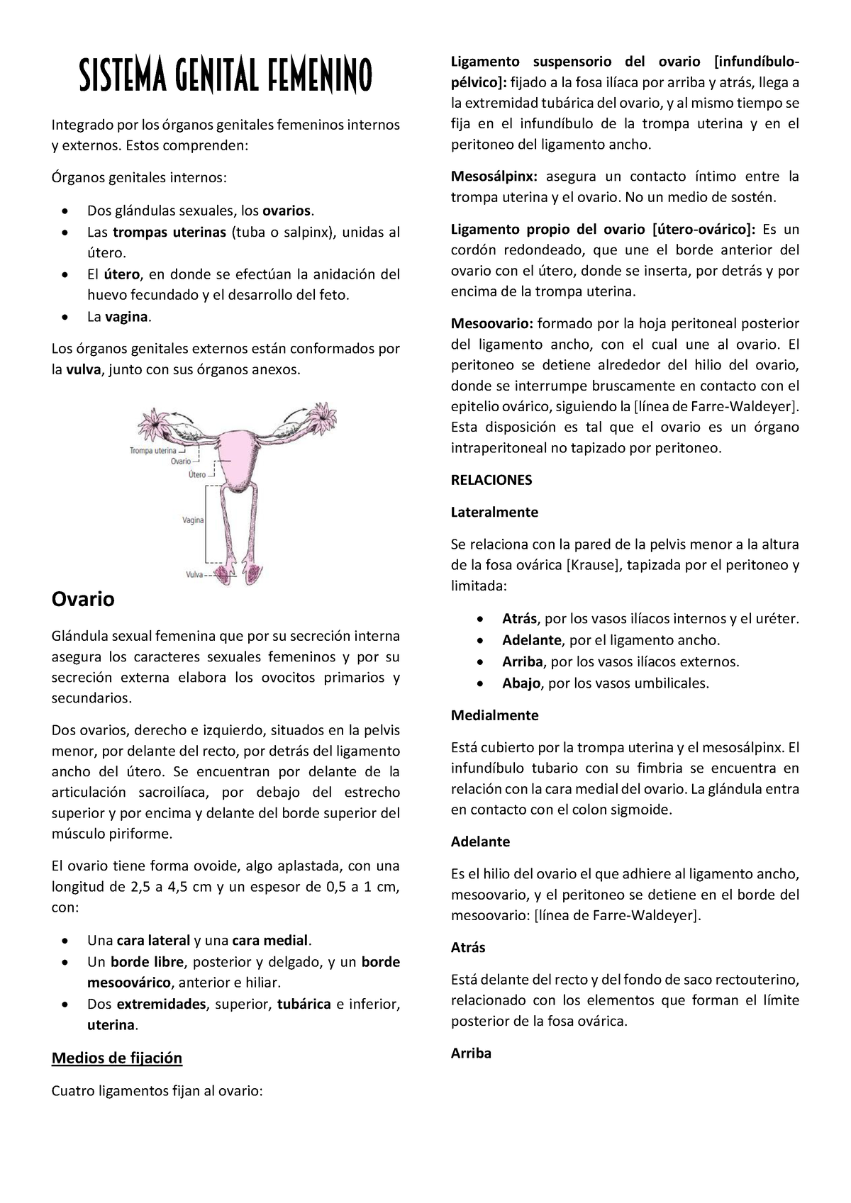 Sistema Genital Femenino Anatomia Latarjet Sistema Genital Femenino