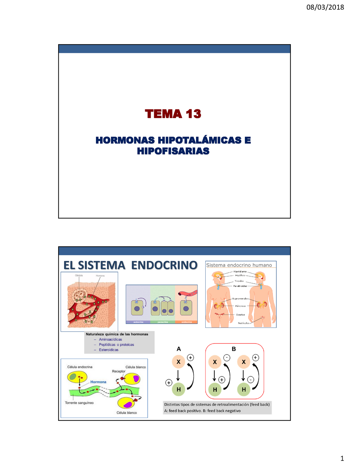 Alumnos Temas 13 14 15 16 17 20 Y S7 08032018 Tema 13 Hormonas