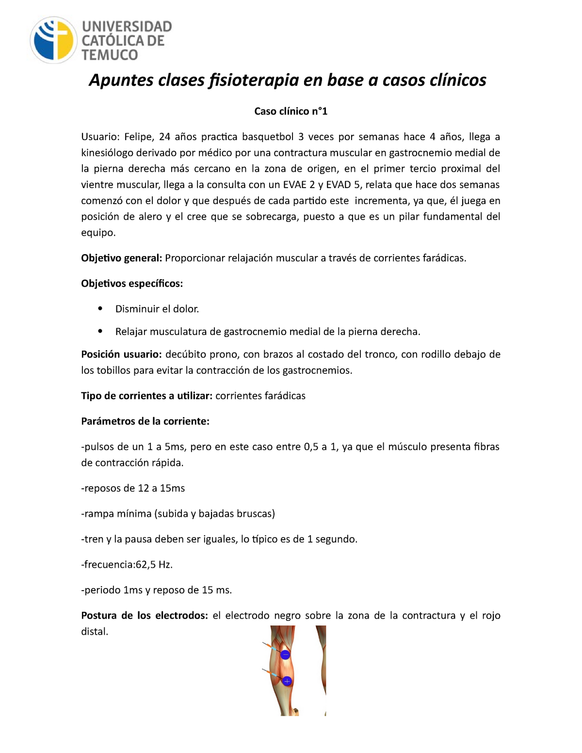 Apuntes Clases Fisioterapia En Base A Casos Clínicos Apuntes Clases