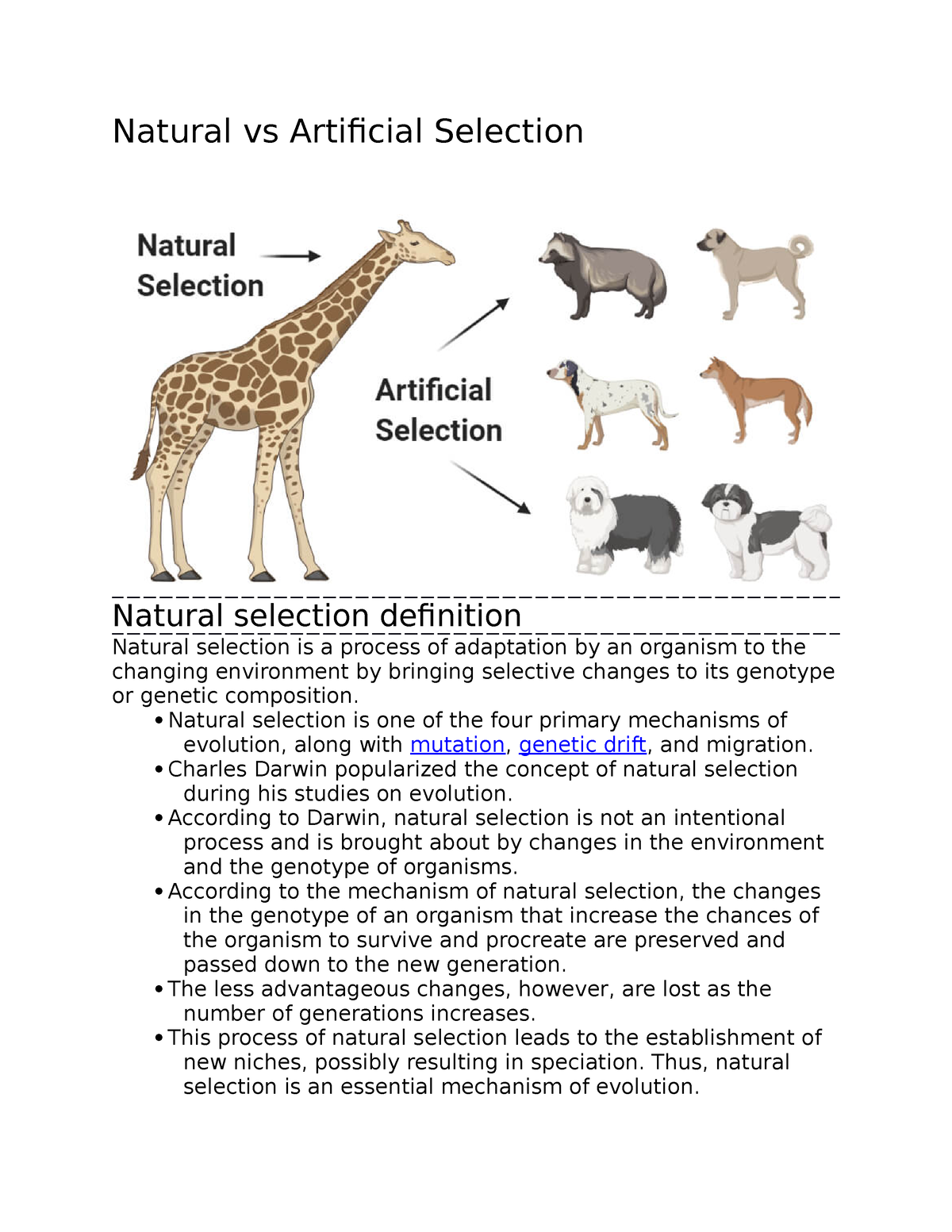 Natural Vs Artificial Selection Natural Vs Artificial Selection