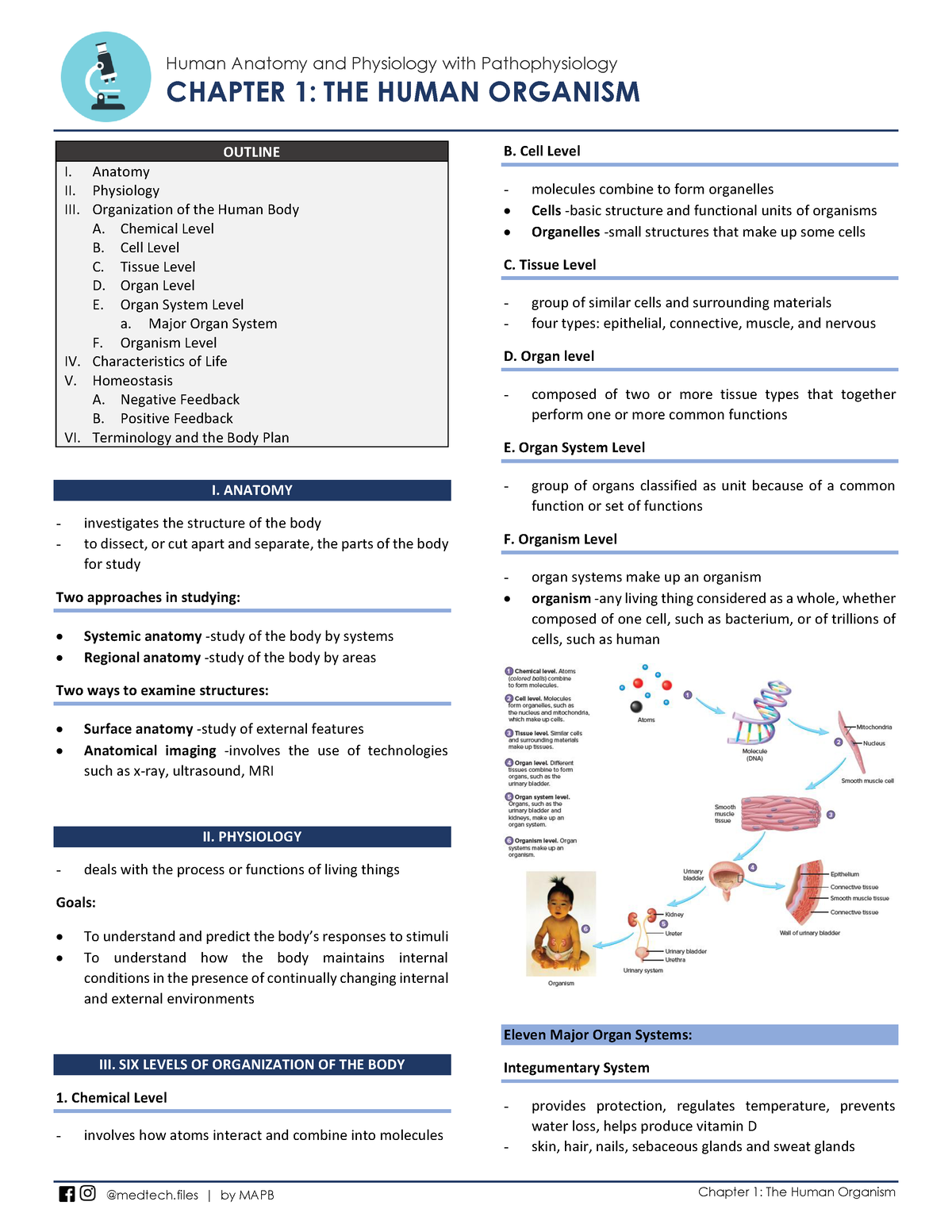 1 Anatomy And Physiology 1 Human Anatomy And Physiology With