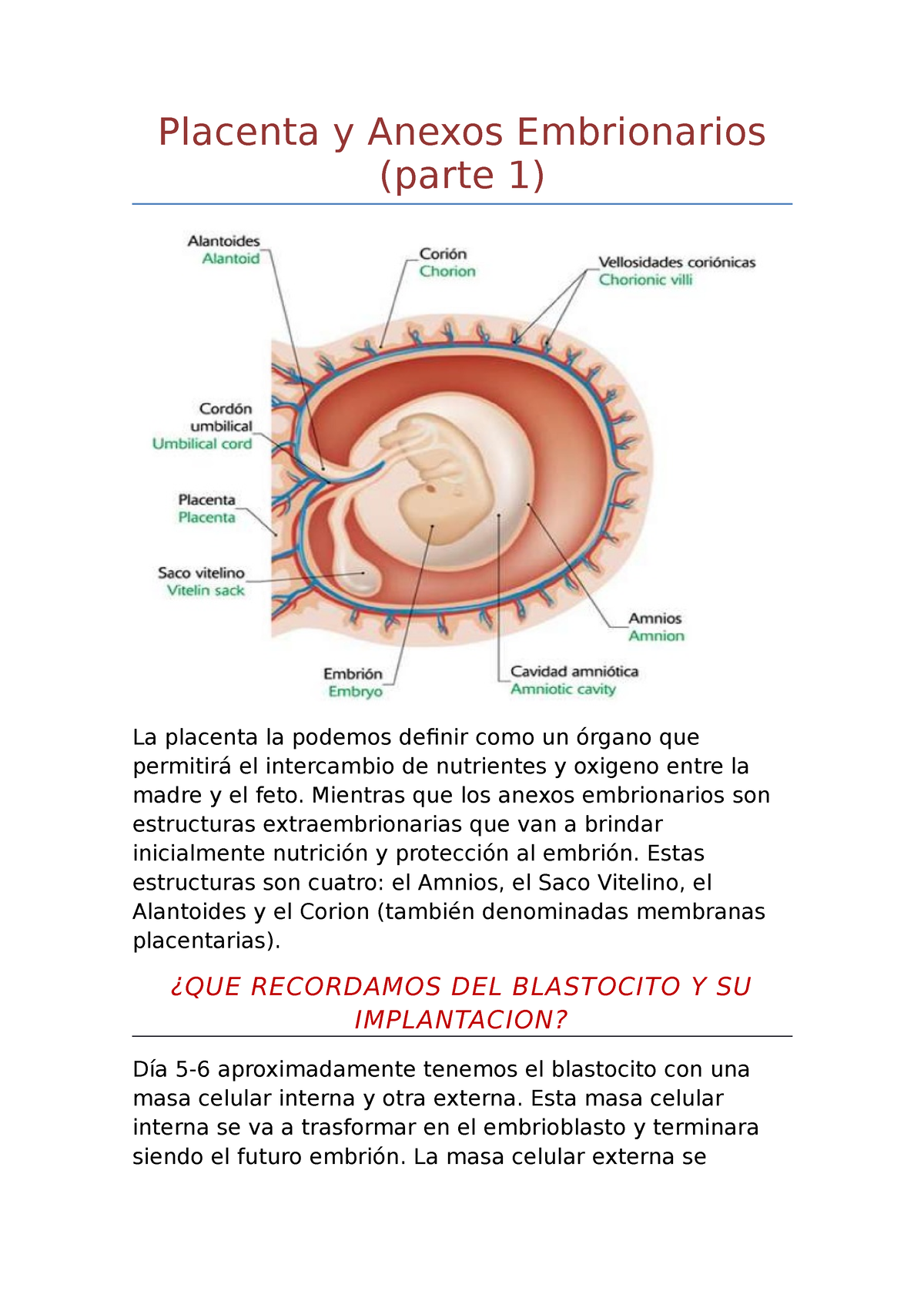 Placenta Y Anexos Embrionarios Parte 1 Placenta Y Anexos Embrionarios